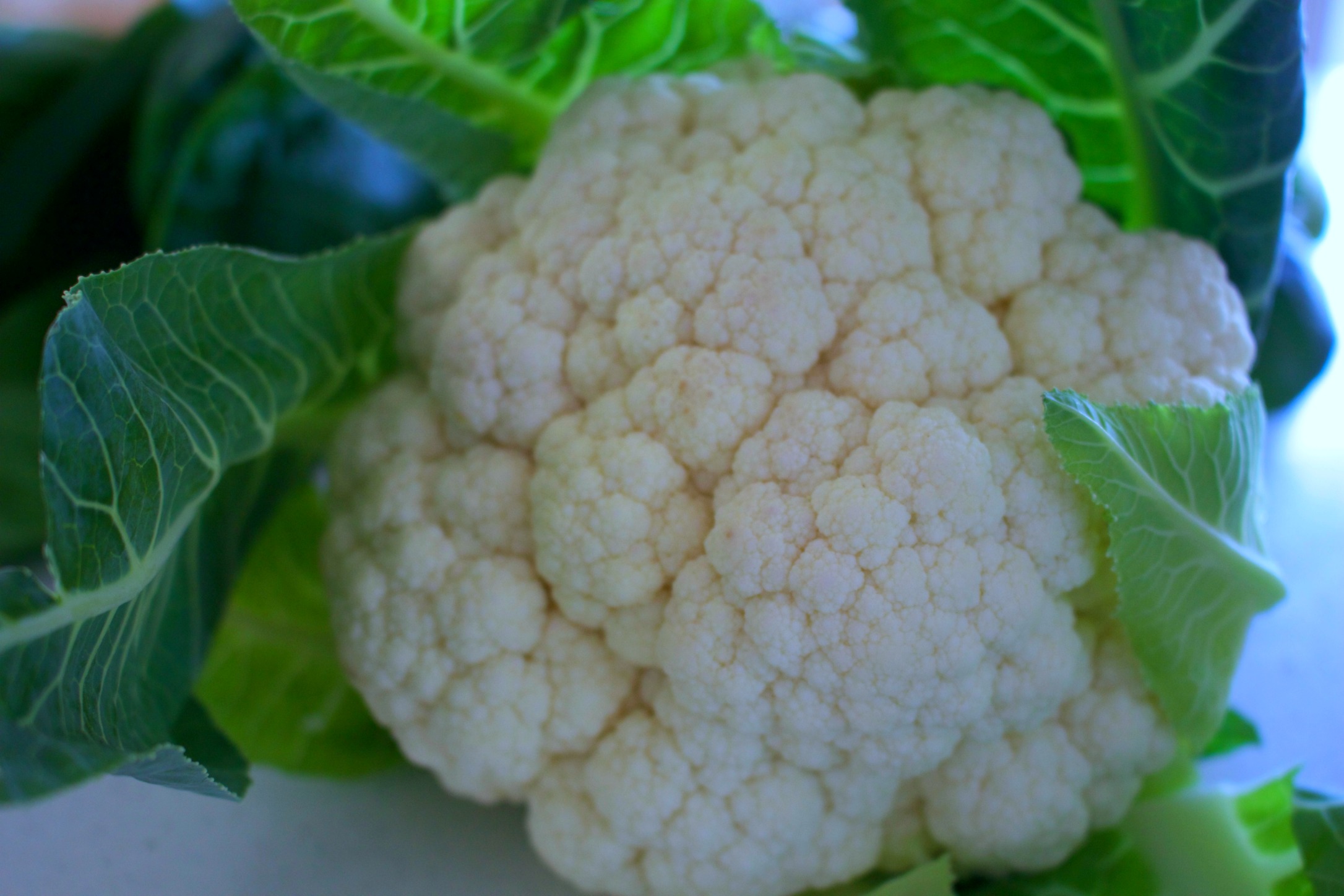 Roasted cauliflower open pie – vegetarian | the hungry mum